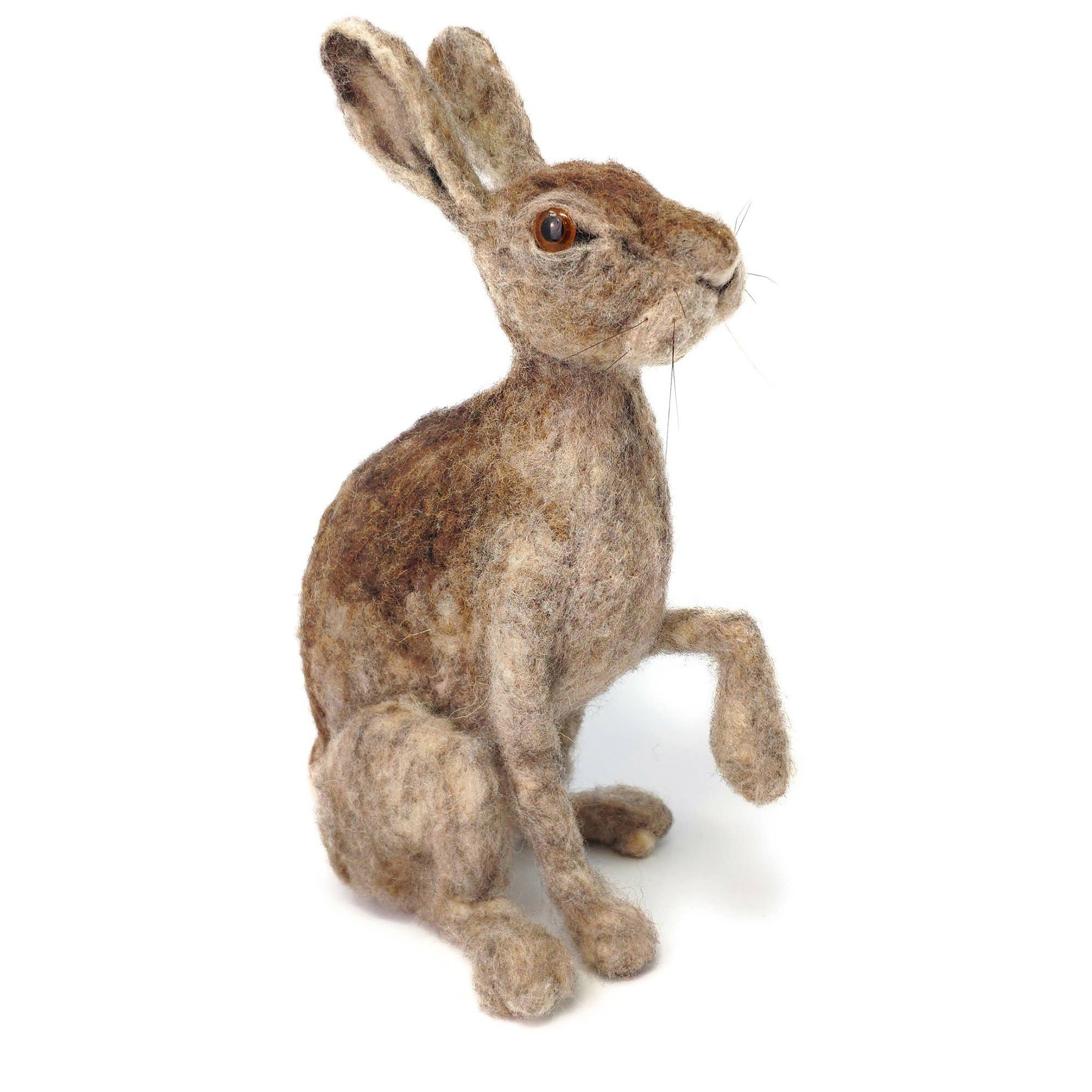 Wild Scottish Hare Needle Felting Craft Kit – Art Dept.